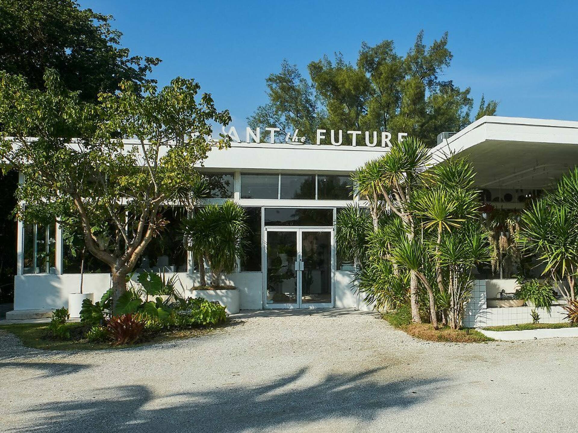 13 Best Plant Shops in Miami for the Touch of Green You Seek