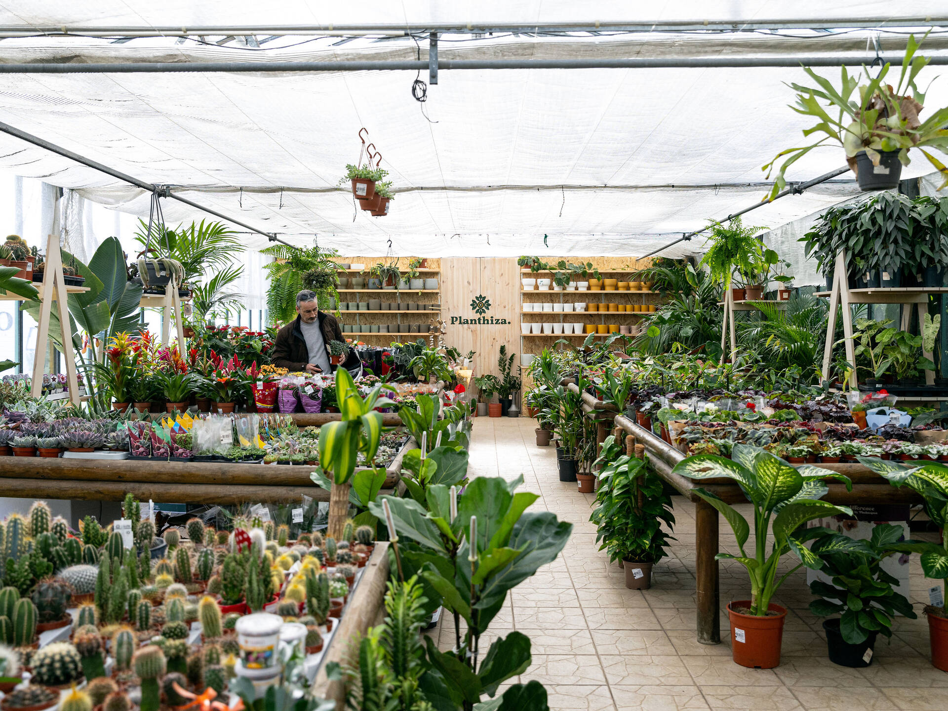 Cascais: the best of Casa da Guia