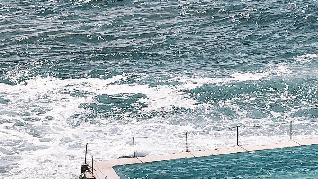 Bondi Area Guide