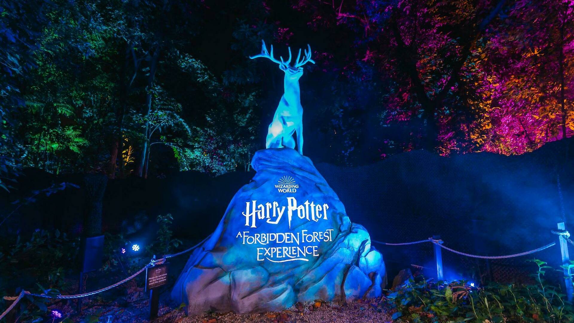Harry Potter: A Forbidden Forest Experience | Things to do in Singapore