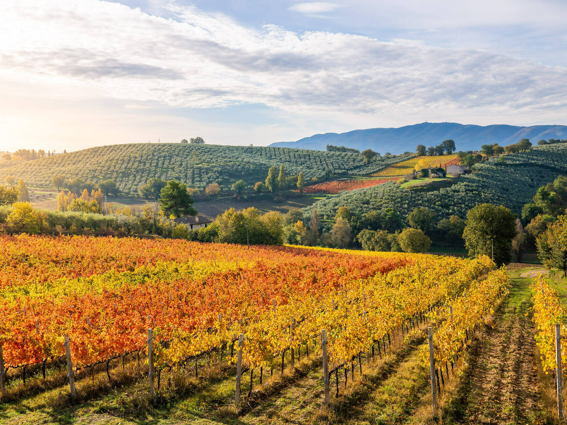 10 Most Beautiful Places in Italy, Picked By An Italian