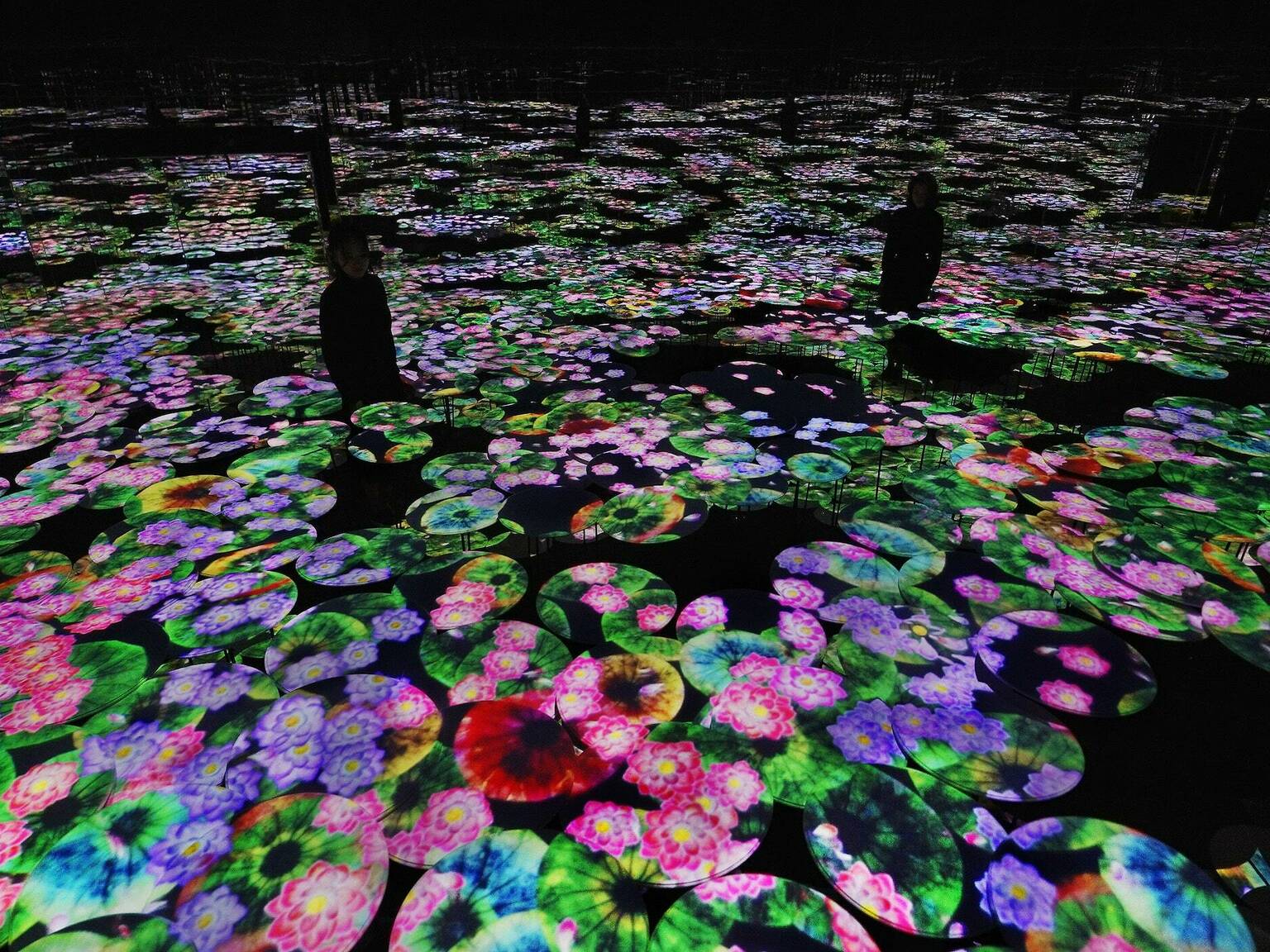 11 most stunning art installations at the new teamLab Borderless in ...
