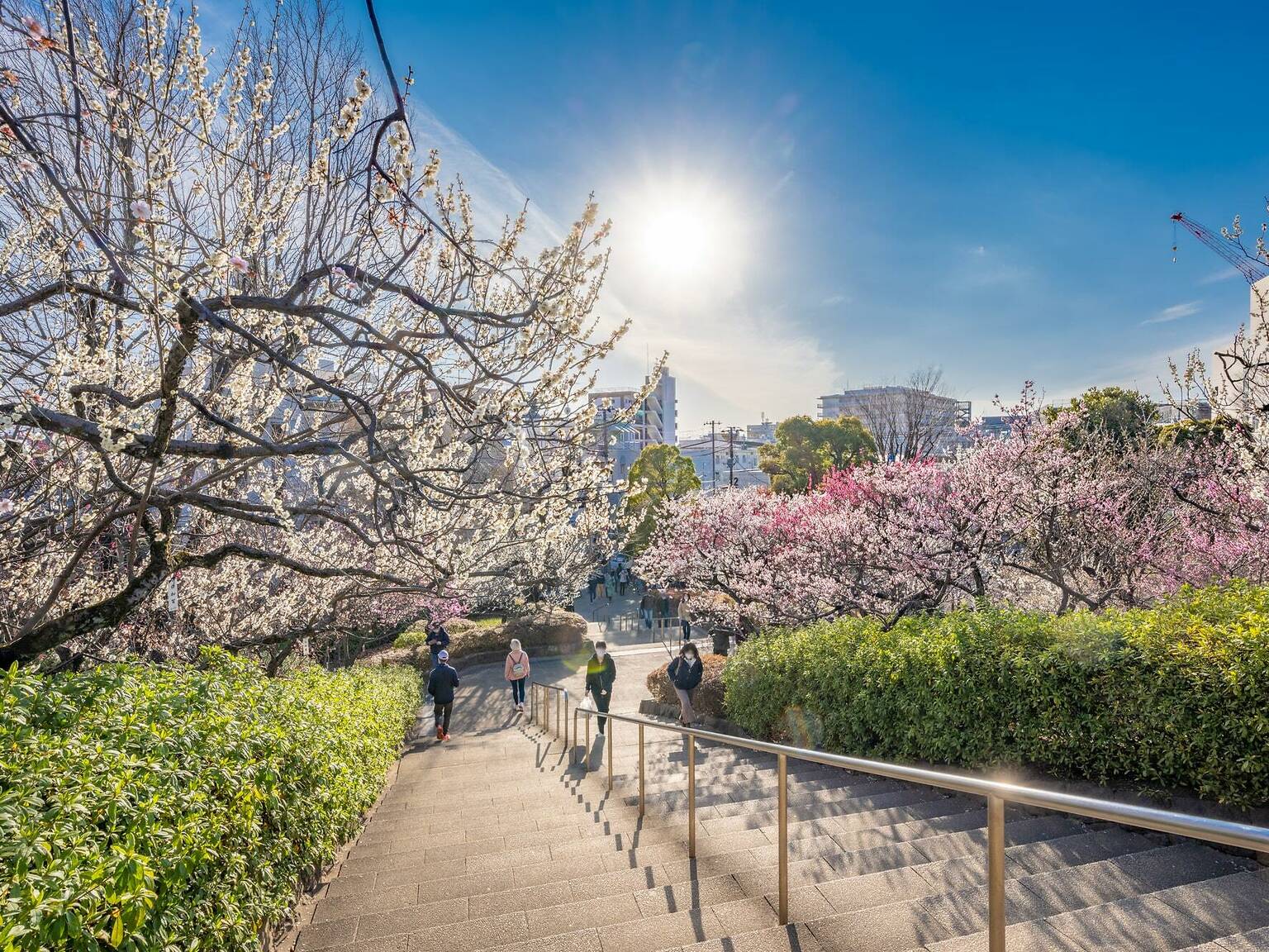 March events in Tokyo | Time Out Tokyo