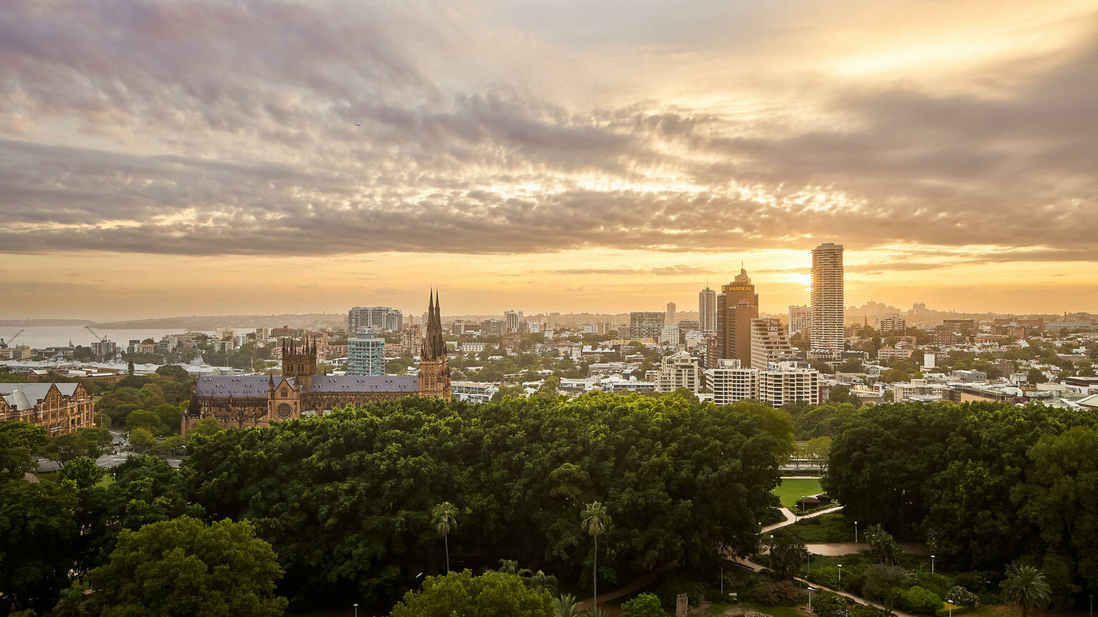 Sydney Common review: Sheraton Grand Sydney Hyde Park