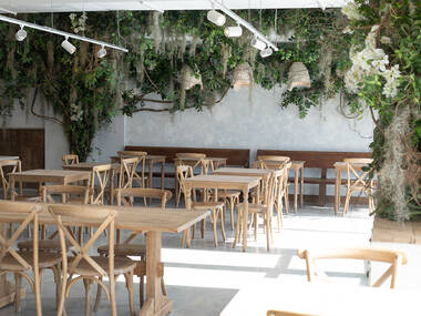 26 Best Miami Coffee Shops to Work, Gather and Get That Cafecito Fix