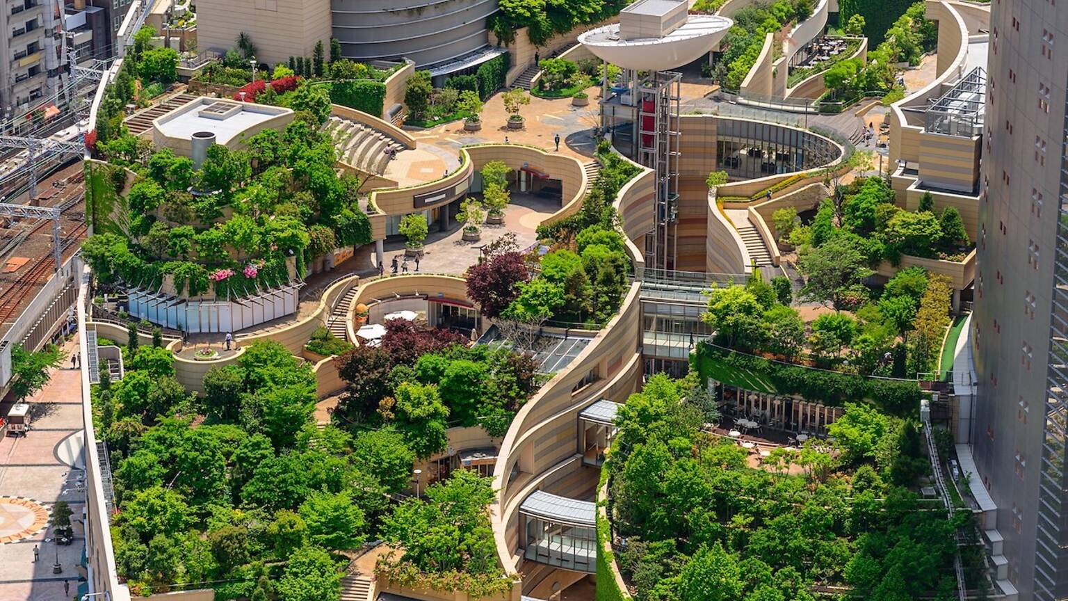 13 best things to do in Osaka's Minami district, including Namba ...