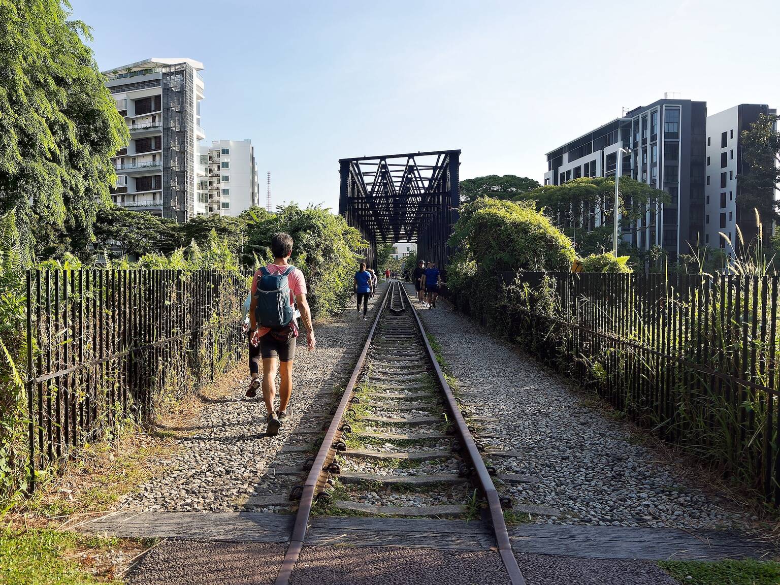 Hiking in Singapore: 18 Amazing Walking Trails For Trekkers To Try