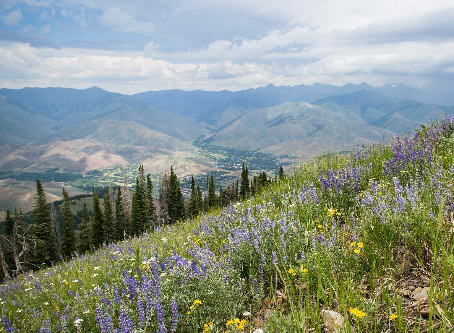 13 Best Places To See Wildflowers in the U.S.