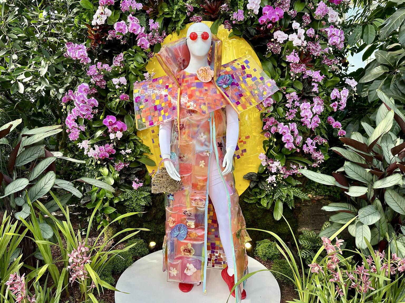 Orchid Show in NYC Guide With 2024’s Theme and Ticket Info Orchid Show in NYC Guide With 2024’s Theme and Ticket Info