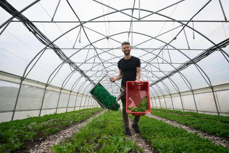 Zrno Bio Bistro, the all-vegan, all-organic restaurant in Zagreb