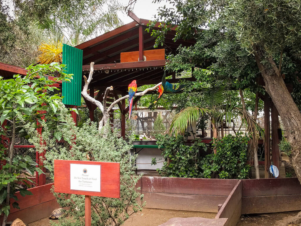 31 Best Things to Do in Los Angeles with Kids for a Fun-Filled Day