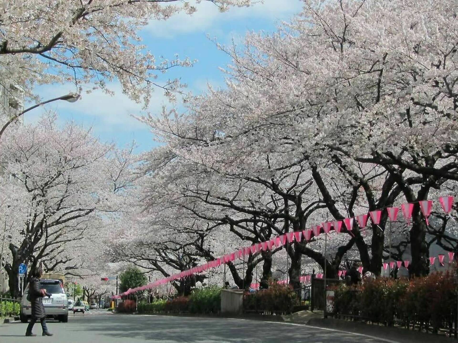 March events in Tokyo | Time Out Tokyo