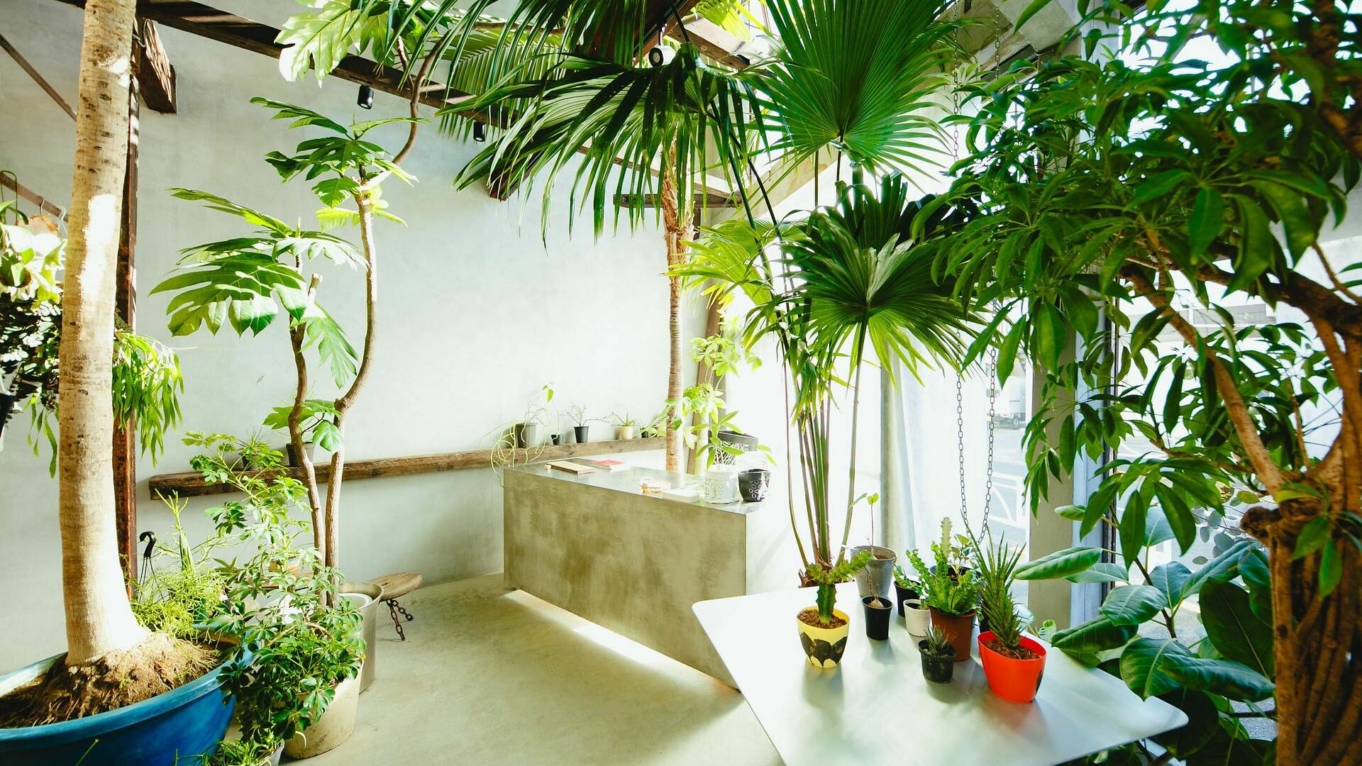 東京、グリーンショップ10選