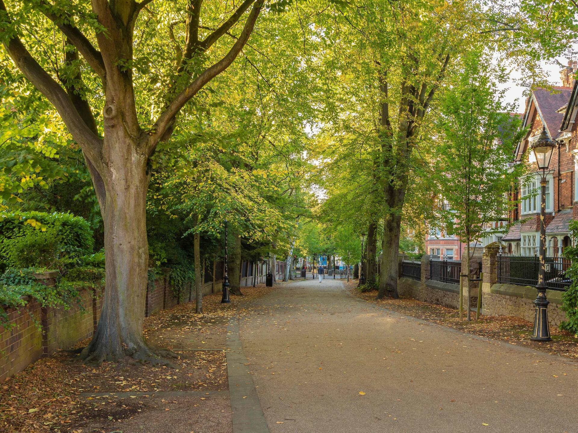 16 Best Things To Do In Leicester This Year