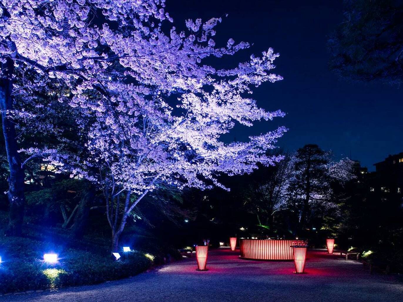 March events in Tokyo | Time Out Tokyo