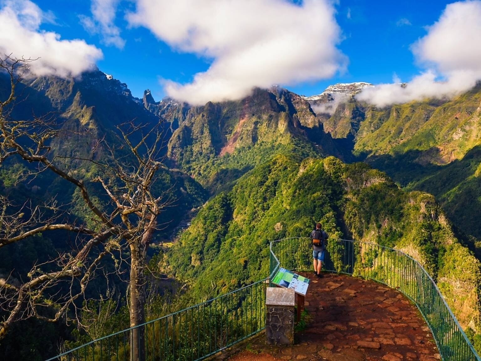 How Madeira is Leading the Way in Eco-Tourism