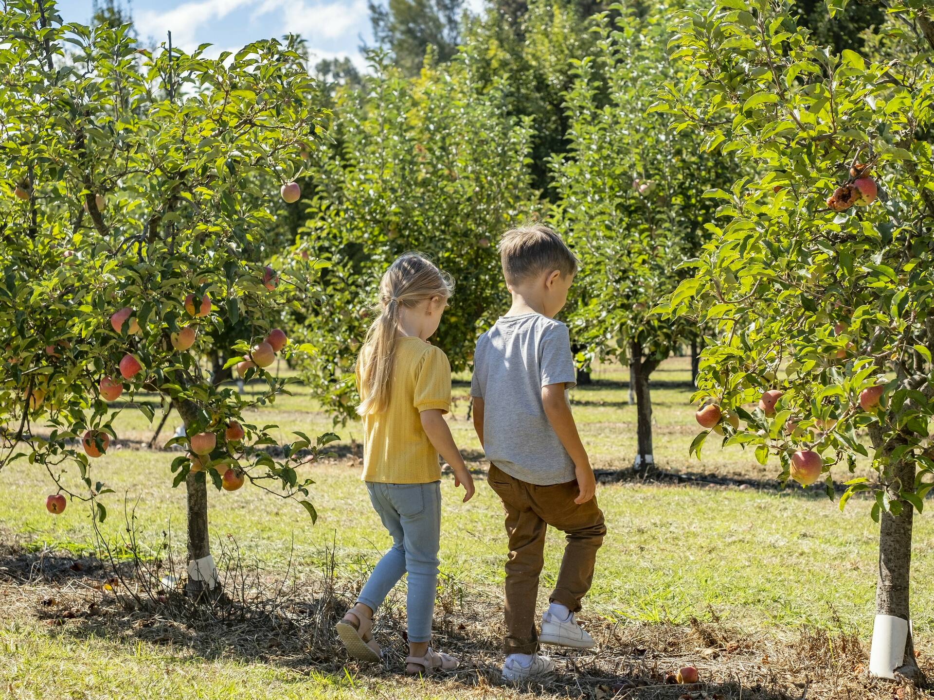 Best Perth attractions for locals and tourists