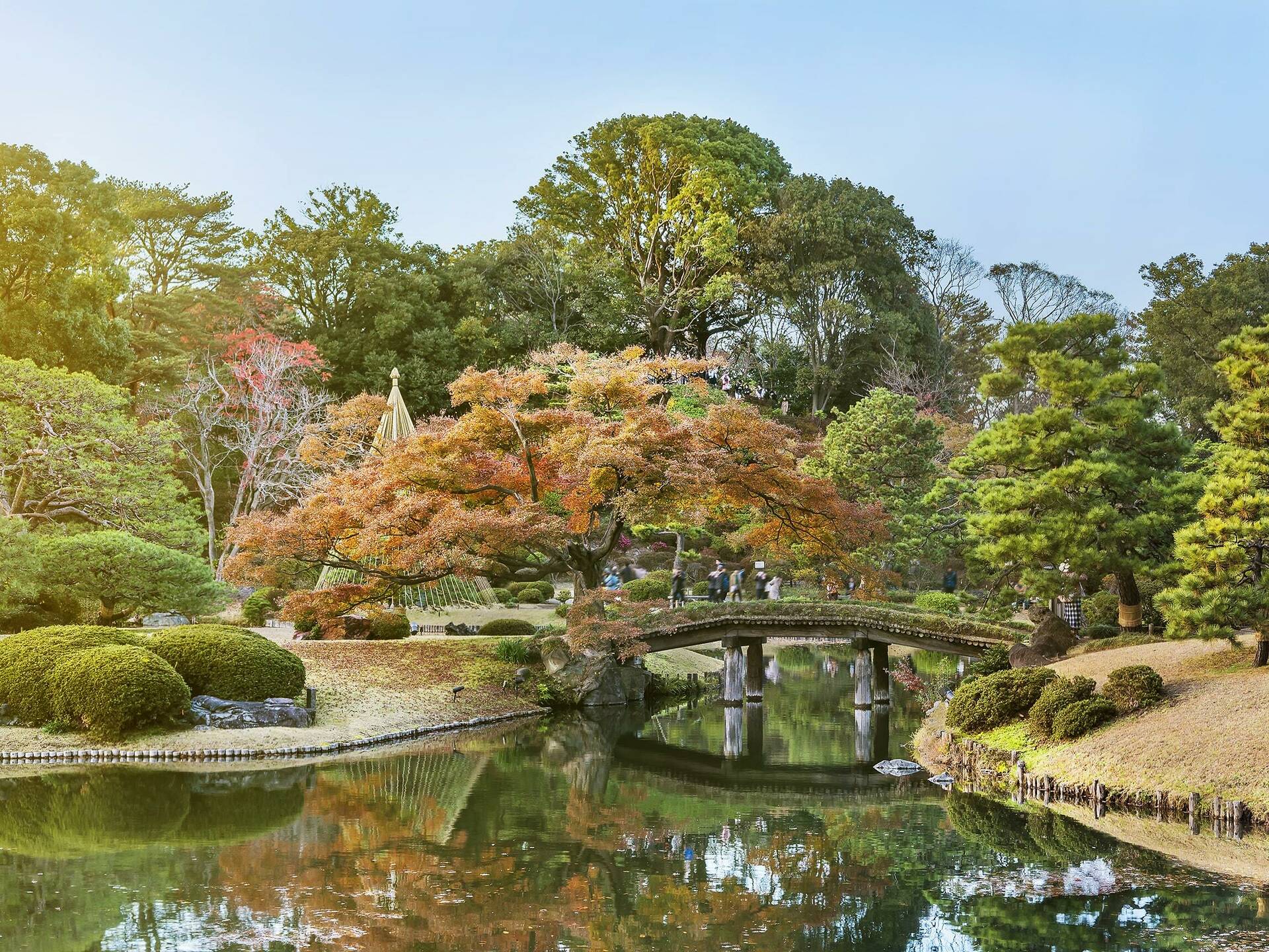 7 best Japanese gardens in Tokyo to enjoy Japan's seasonal beauty