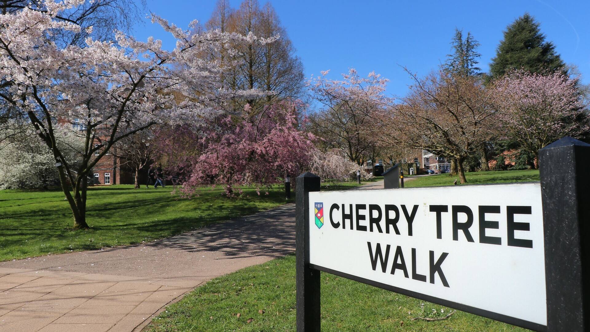 10 Perfect Places to See Cherry Blossom in the UK in 2025