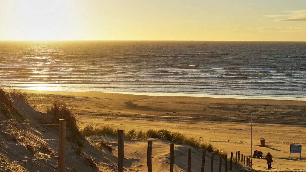 The Nine Best Beaches and Swim Spots in Amsterdam