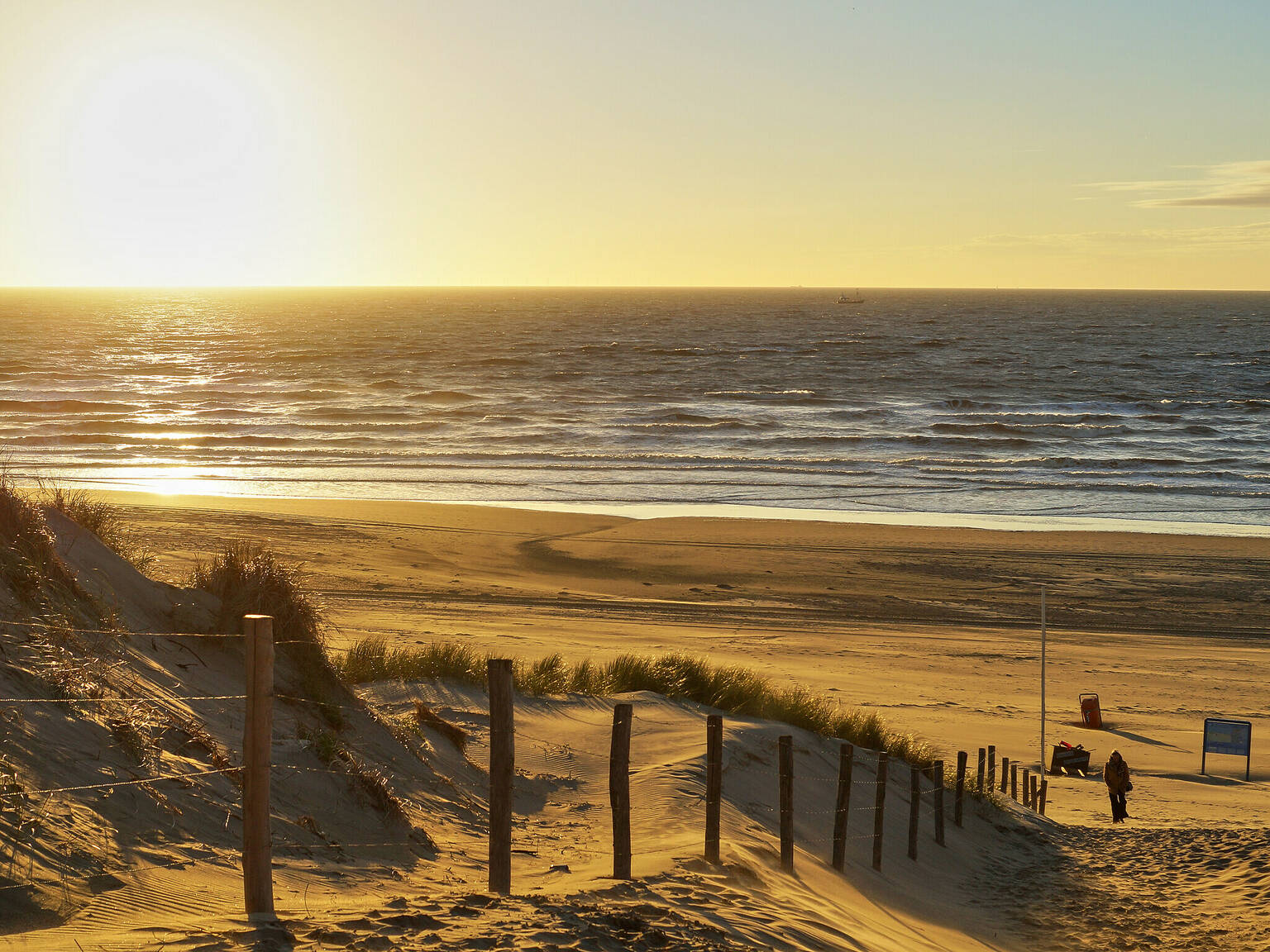 9 Best Beaches in Amsterdam Right Now