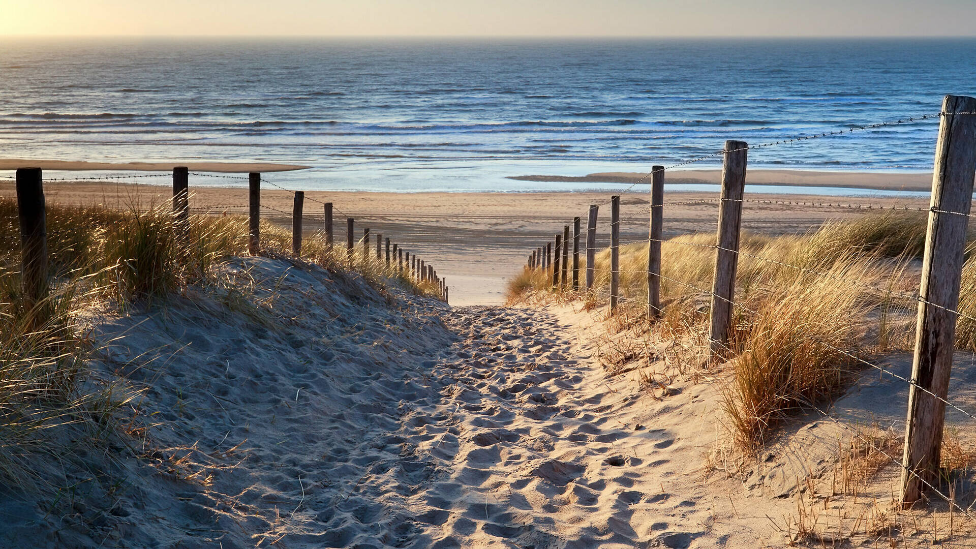 9 Best Beaches in Amsterdam Right Now