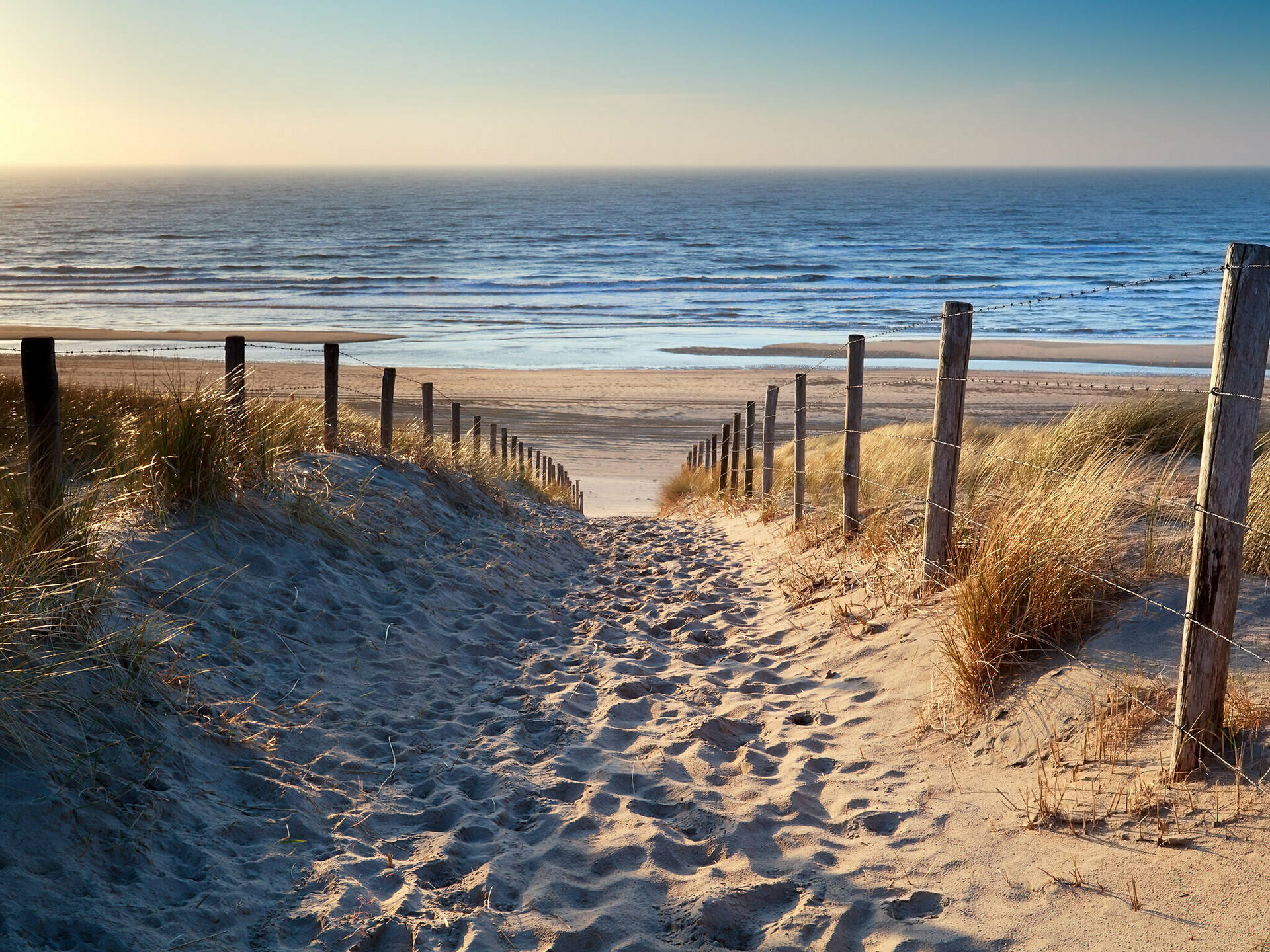 The Nine Best Beaches and Swim Spots in Amsterdam