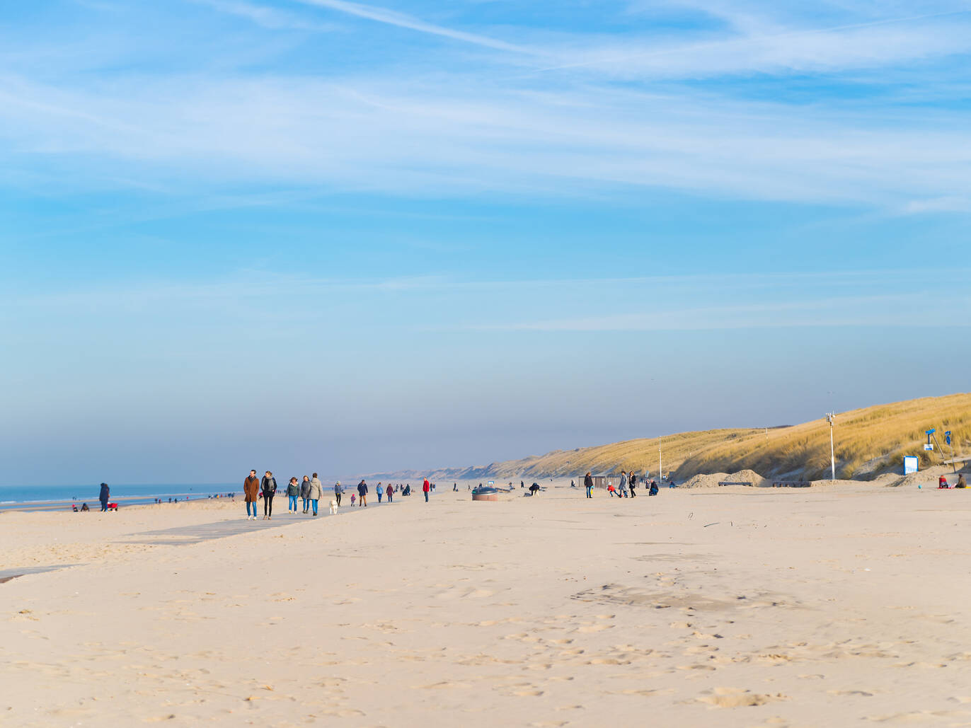 9 Best Beaches in Amsterdam Right Now