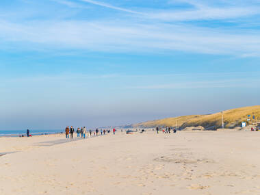 9 Best Beaches in Amsterdam Right Now