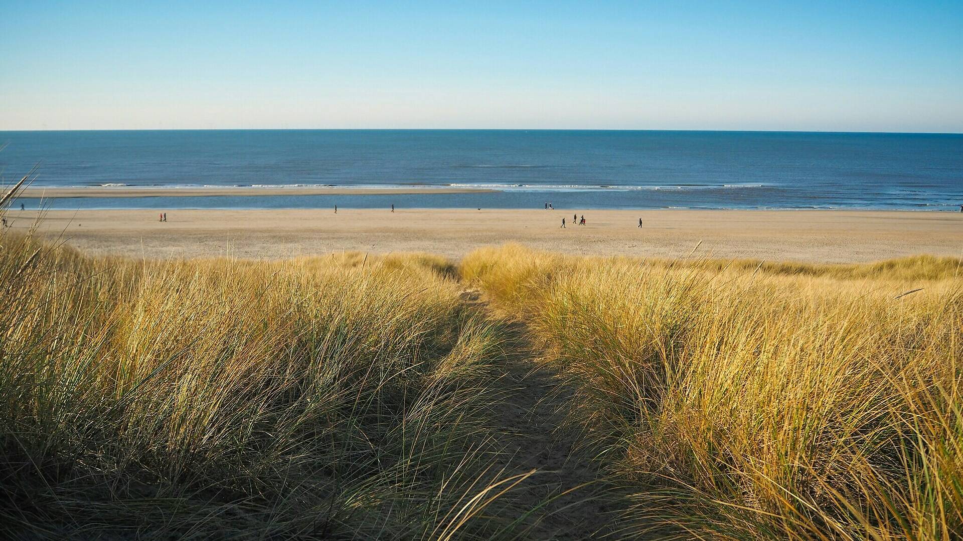 9 Best Beaches in Amsterdam Right Now