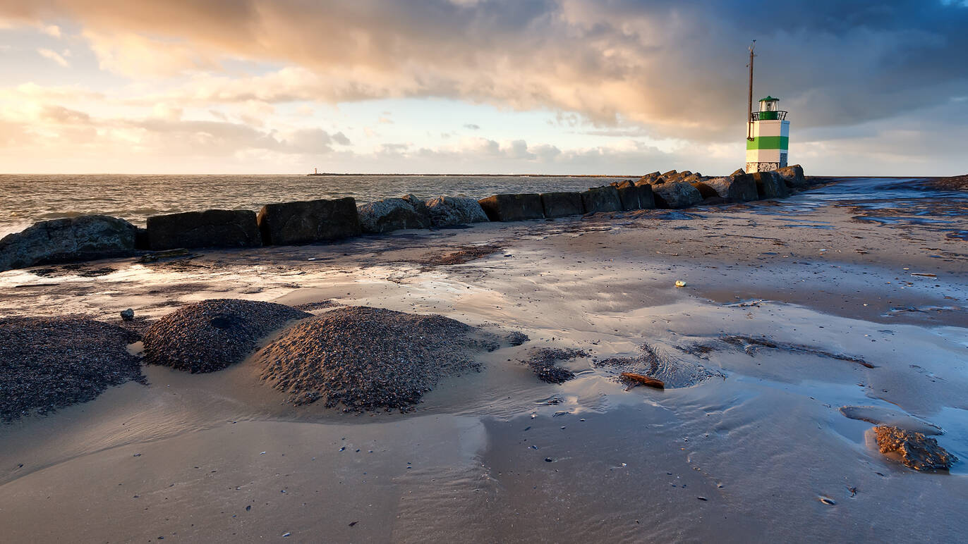 9 Best Beaches in Amsterdam Right Now