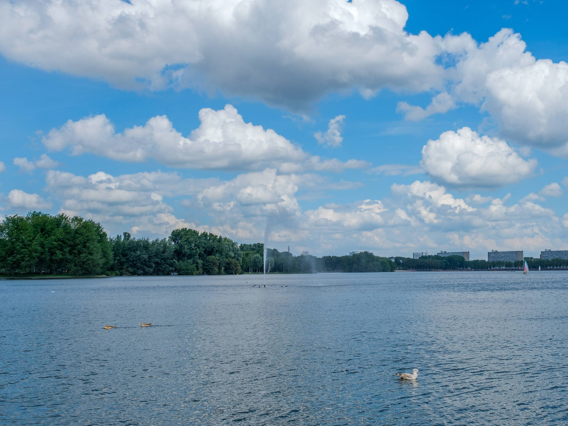 9 Best Beaches in Amsterdam Right Now