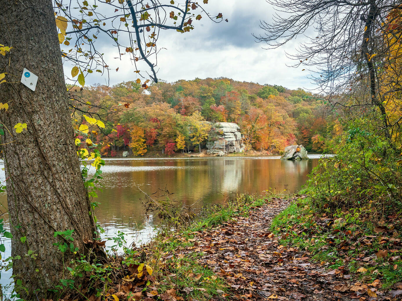 18 Best National Forests in the U.S. To Explore Right Now