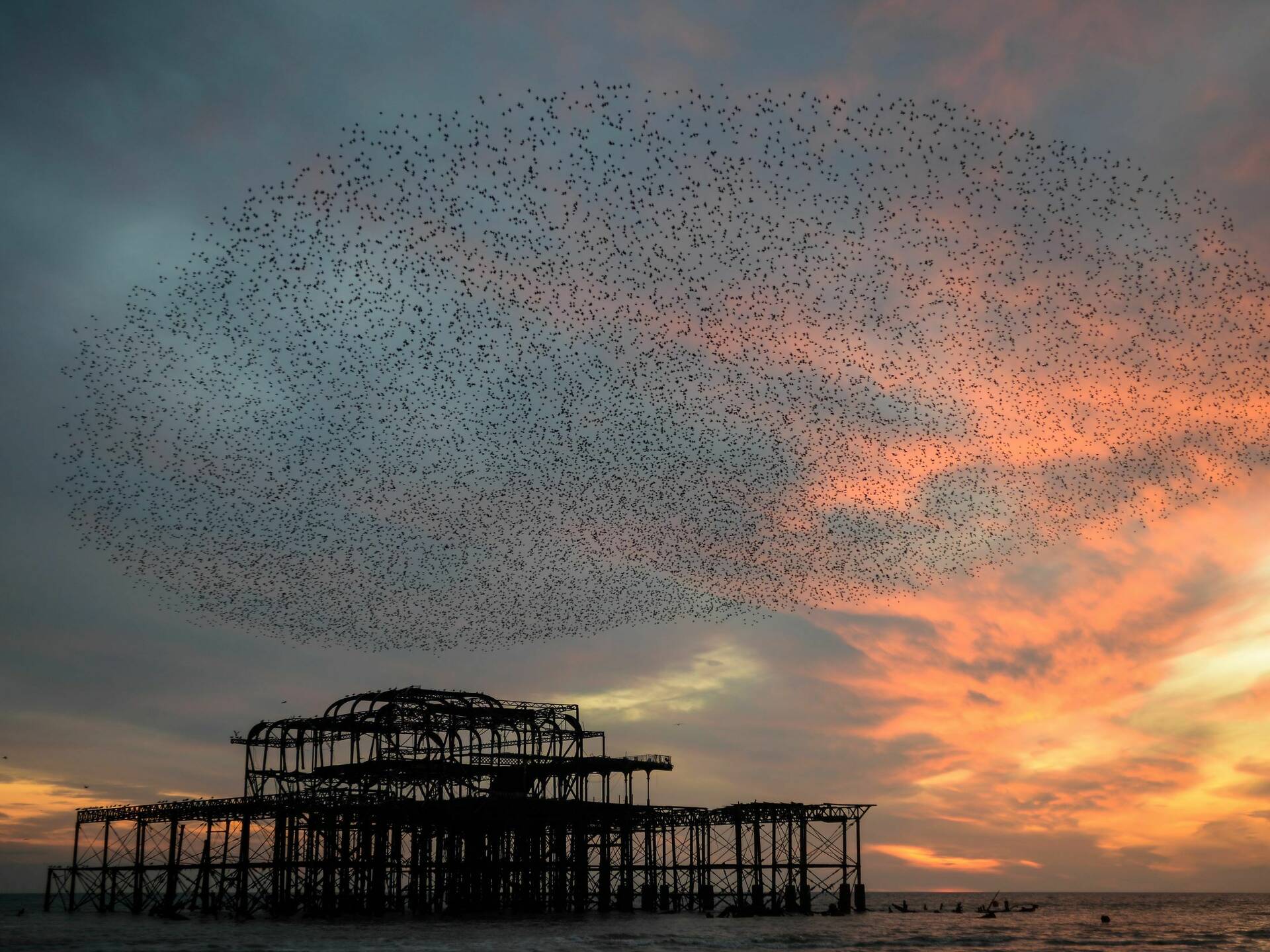 25 Best Things to do in Brighton According to Locals