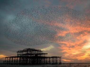 25 Best Things to do in Brighton According to Locals