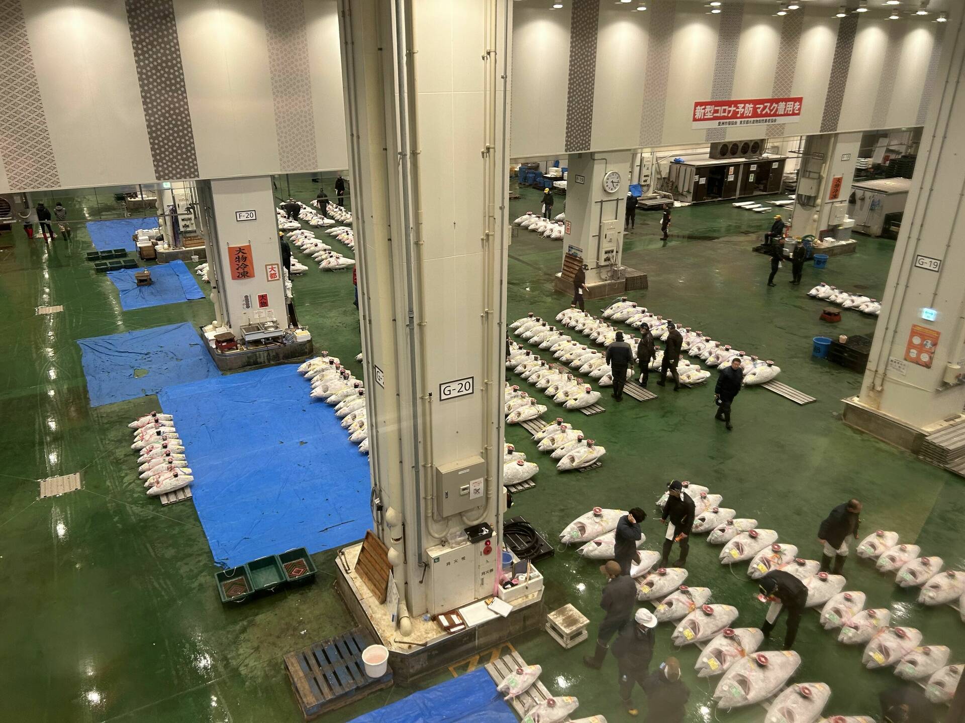 Guide to Toyosu Market, including how to visit the tuna auction