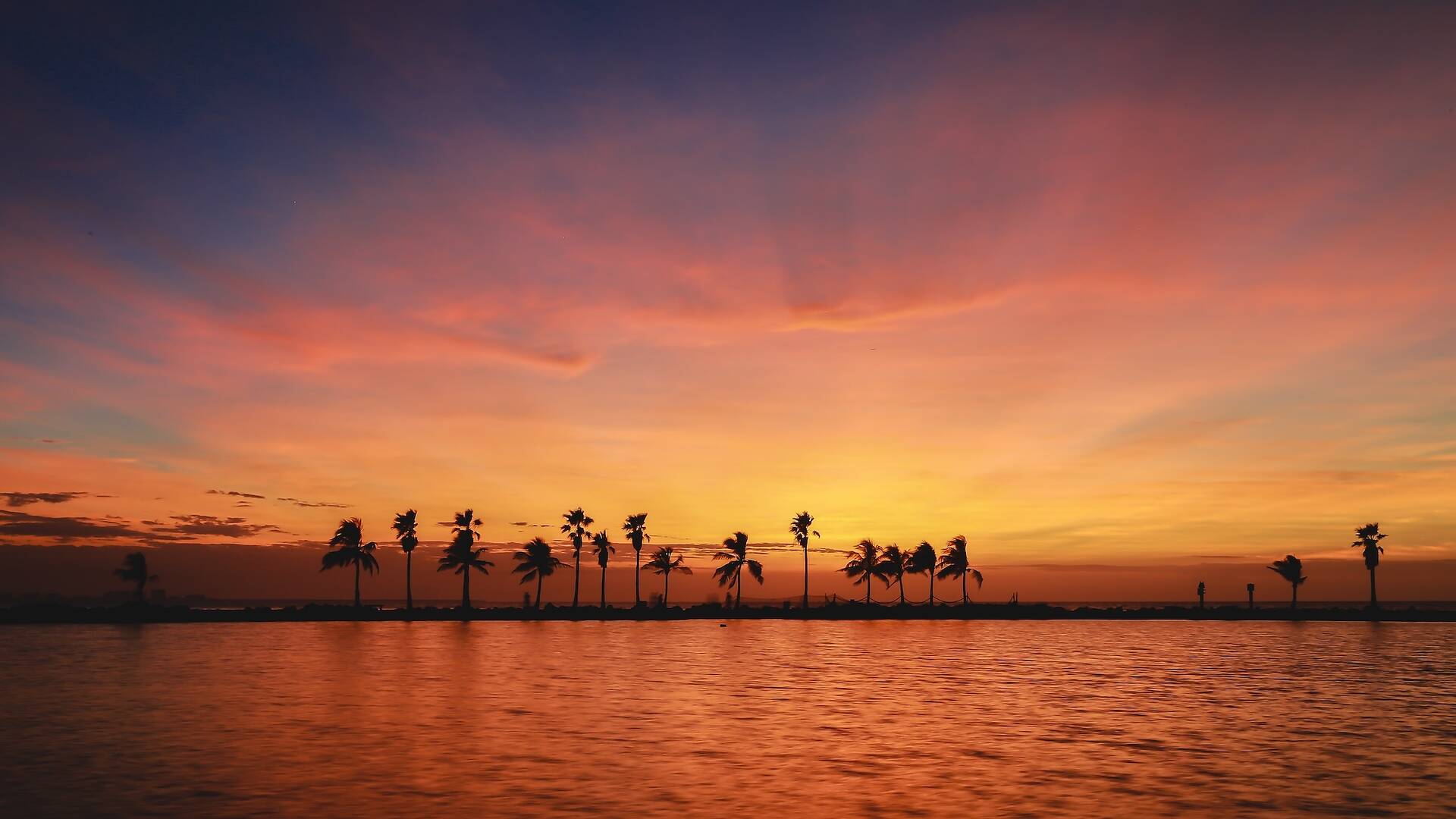 9 Best Trails for Hiking in Miami, from Bayside Paths to Gator-Lined ...