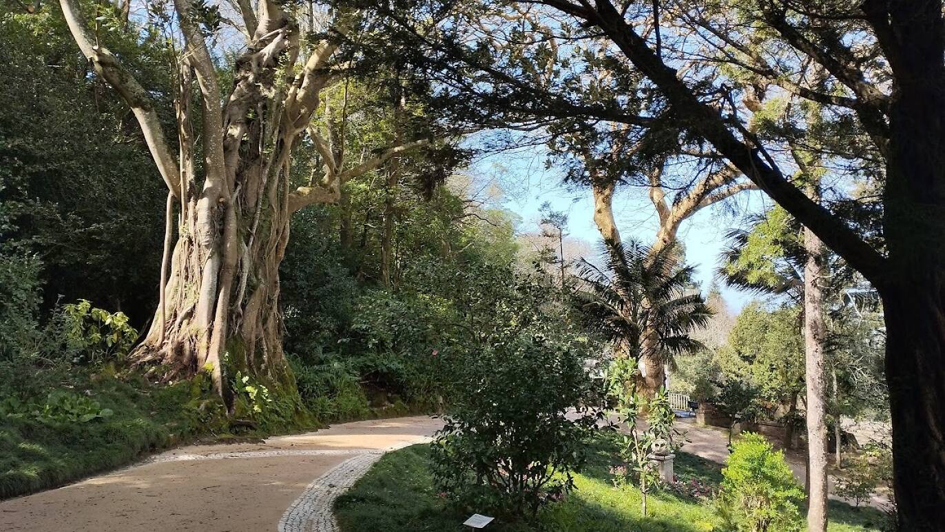 Jardins e parques em Sintra que tem de conhecer