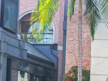 The 5 Best Hollywood Tours | Best Things to Do in Hollywood