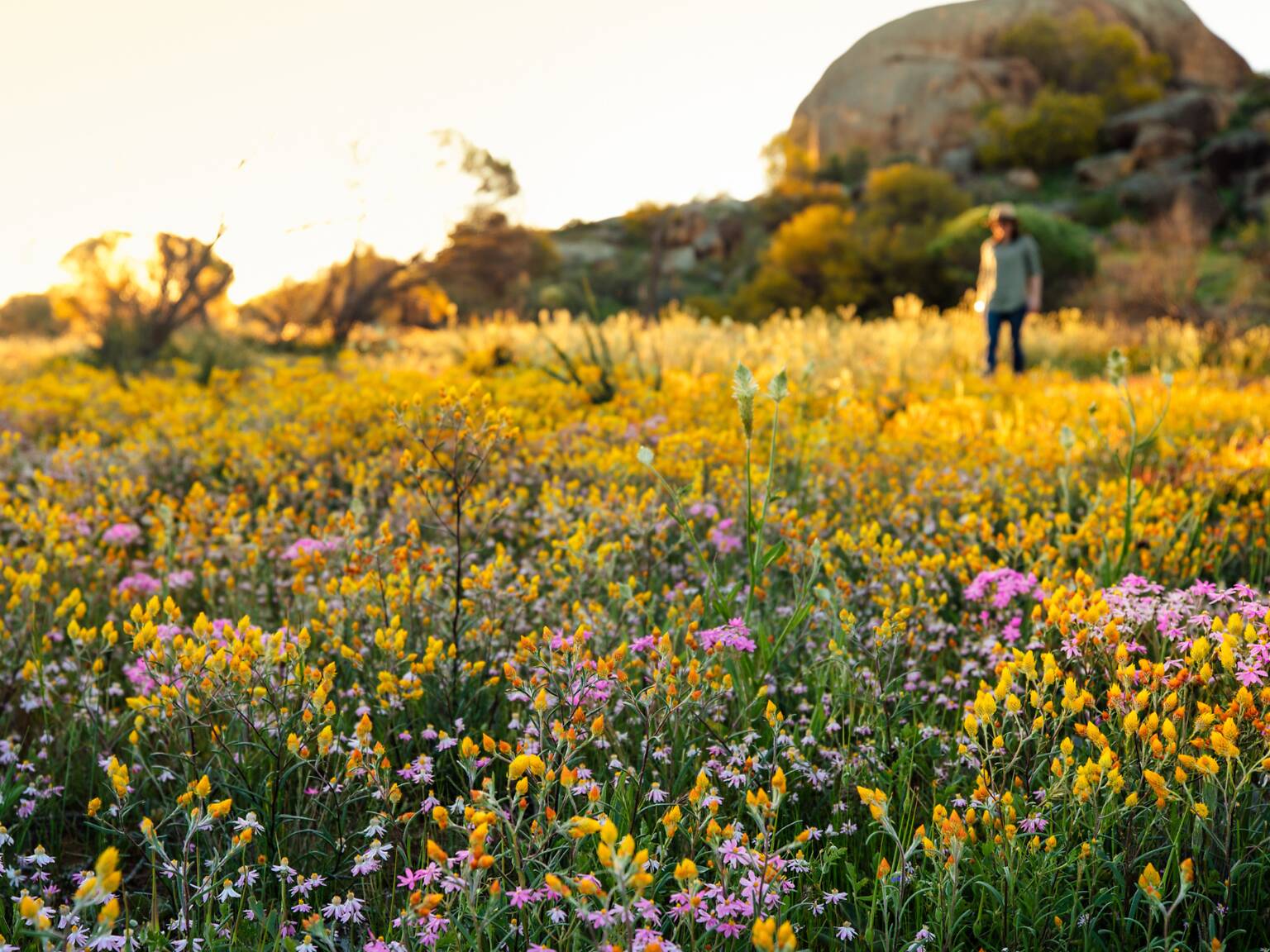 When is the best time to visit Australia? A seasonal guide