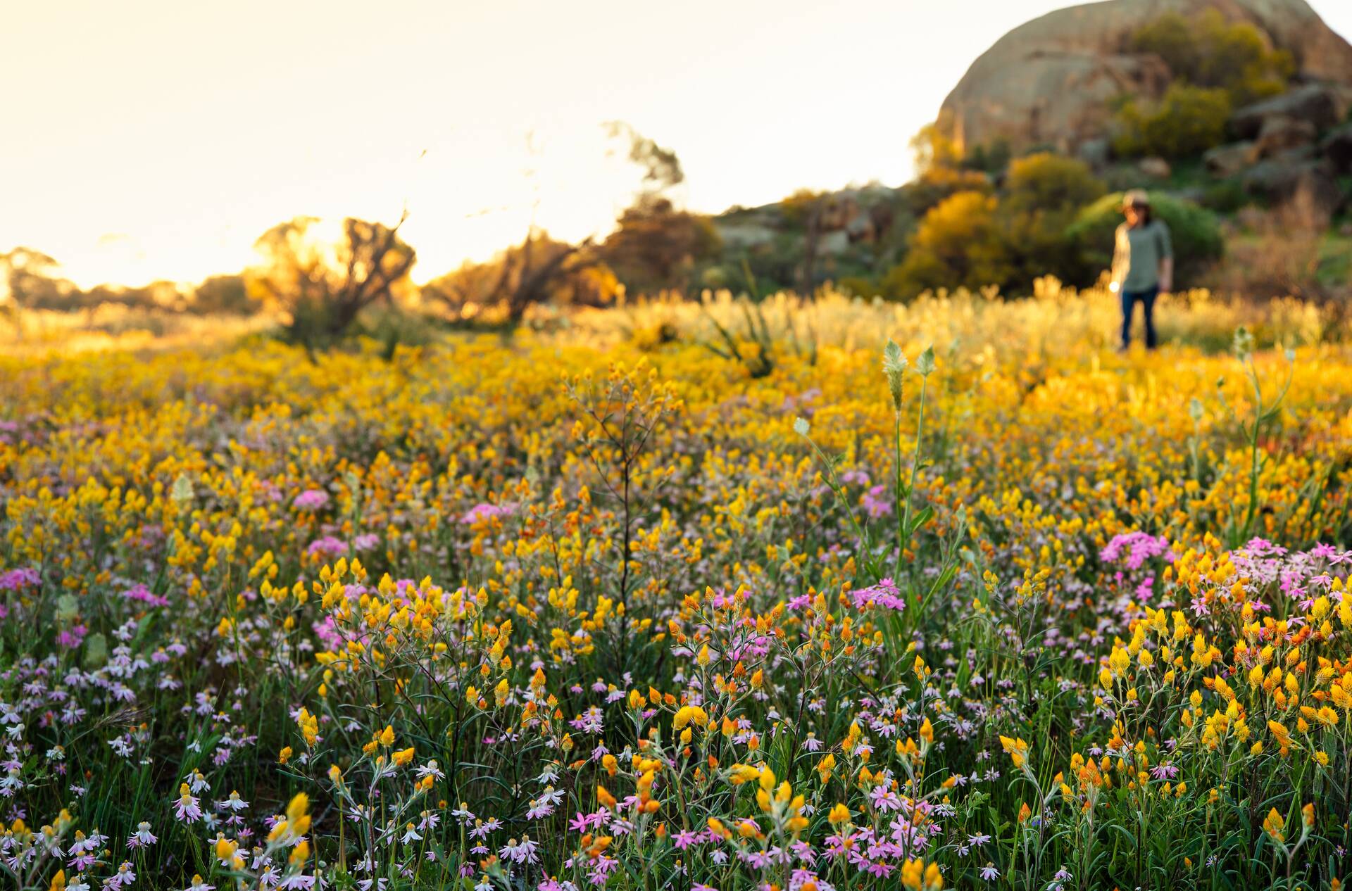 When is the best time to visit Australia? A seasonal guide