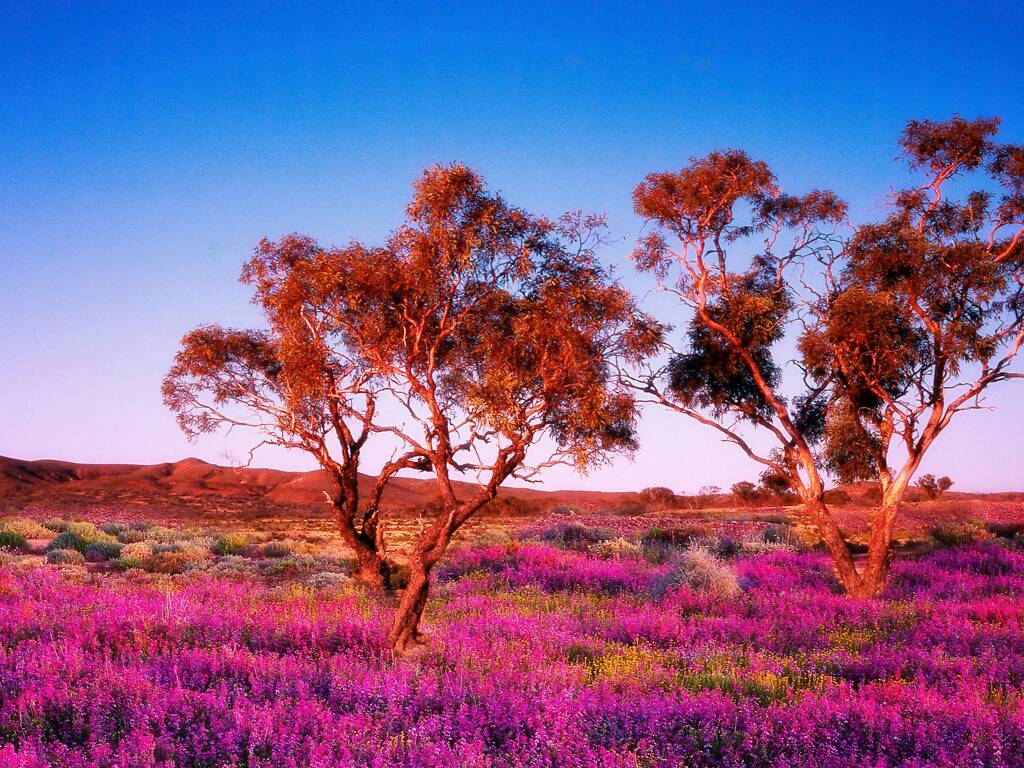 The 12 best places to visit in South Australia in 2025