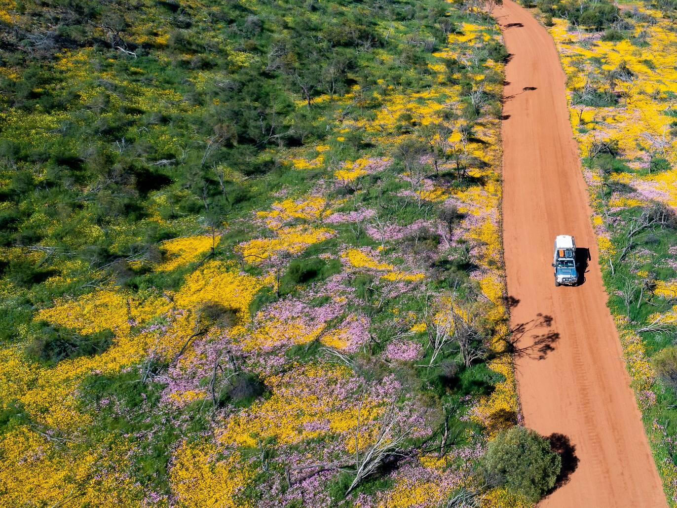 The 10 Best Places to See Wildflowers in Australia