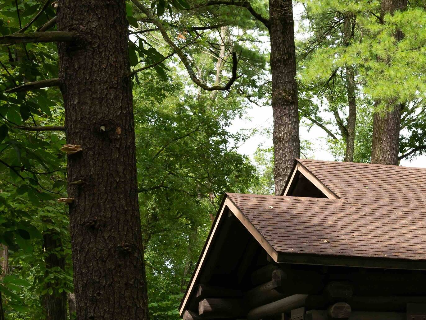 20 Great Places to Go Camping Near Chicago