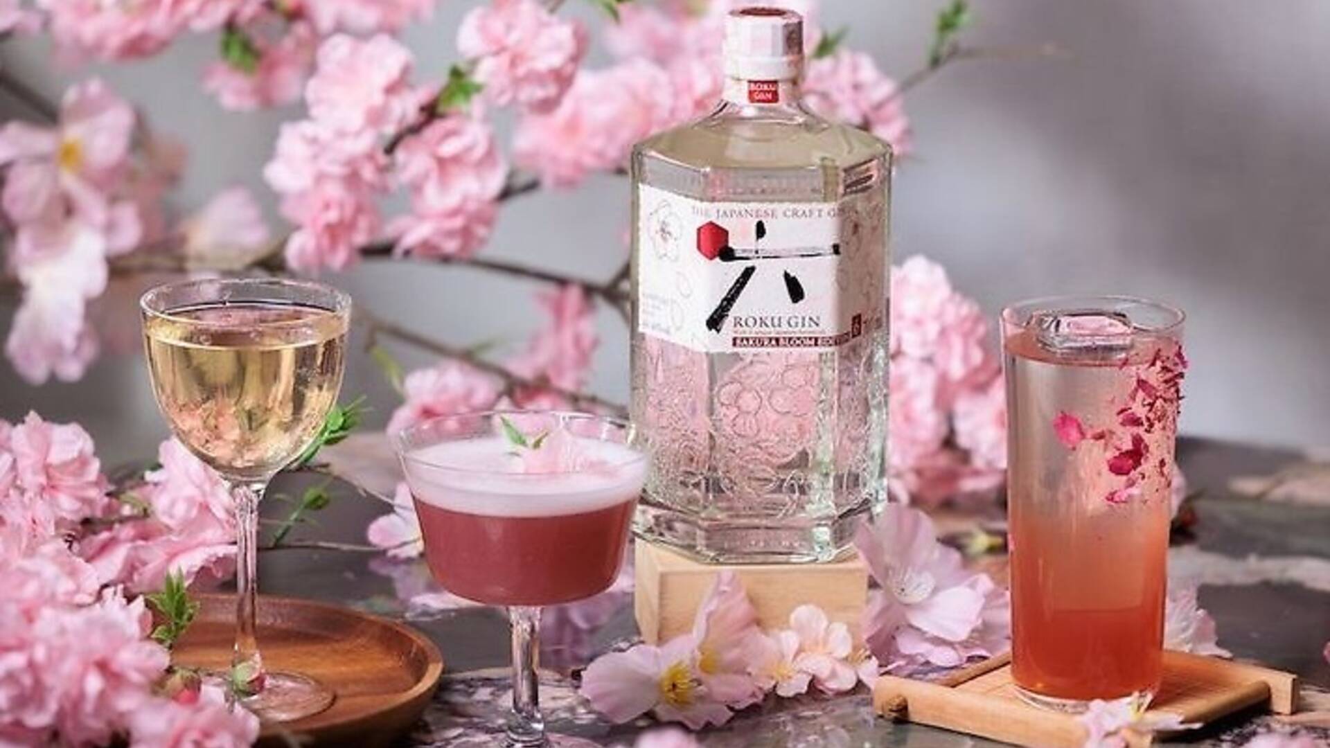 Sakura In Singapore: 9 Ways To Experience Cherry Blossom Season Without ...