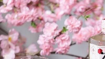 Sakura In Singapore: 9 Ways To Experience Cherry Blossom Season Without ...