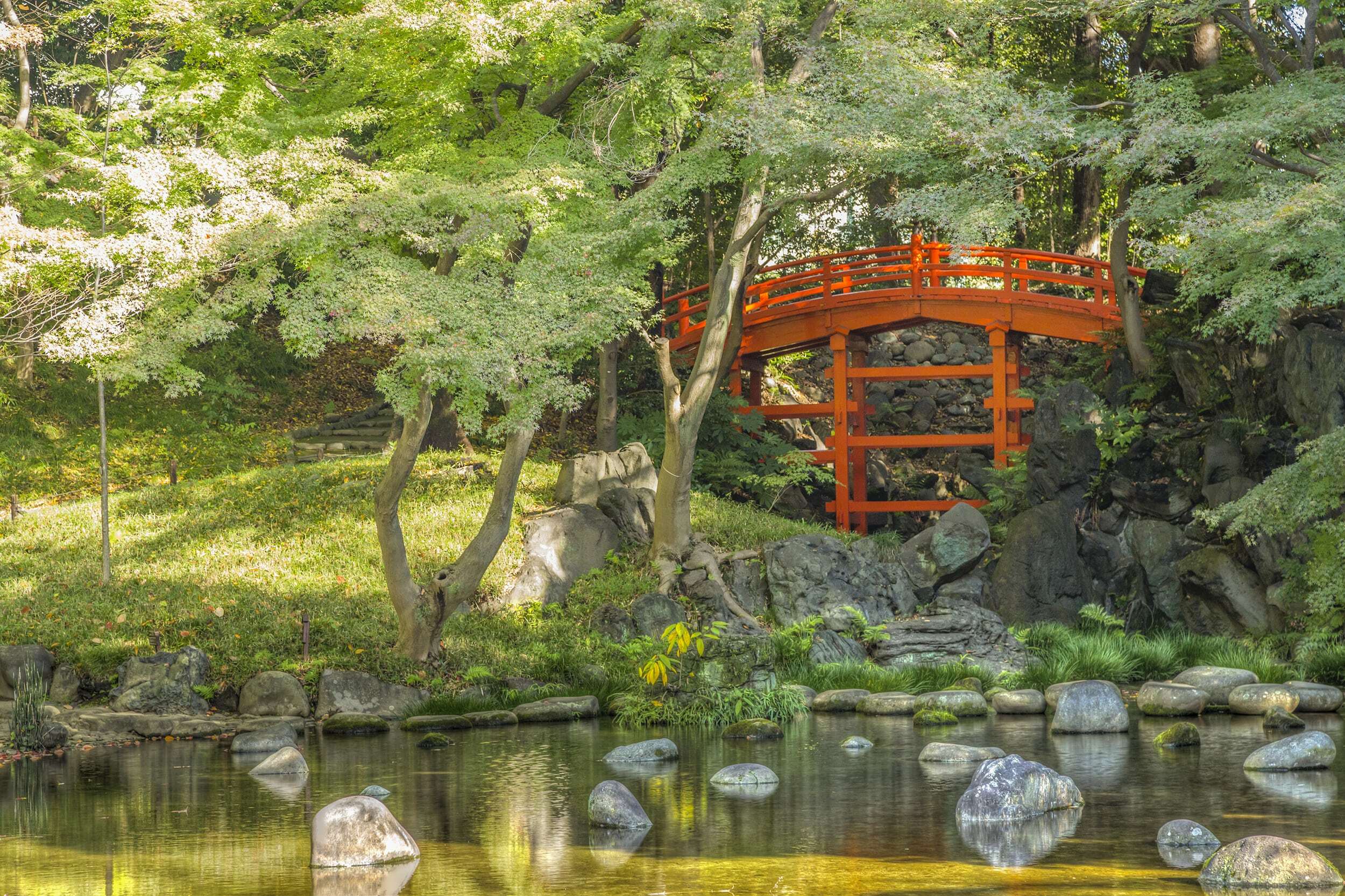 Enjoy free entry at these Tokyo attractions on Greenery Day May 4