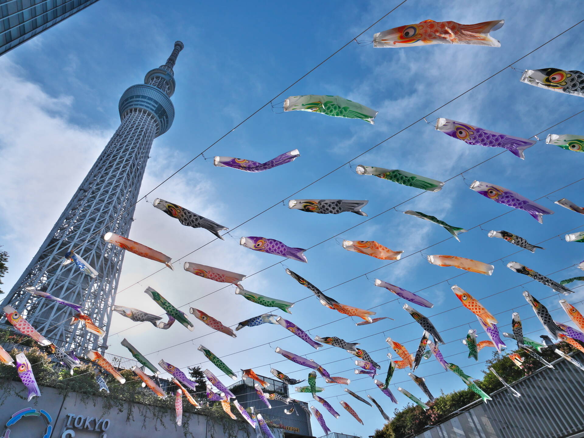 The best things to do in Tokyo this week