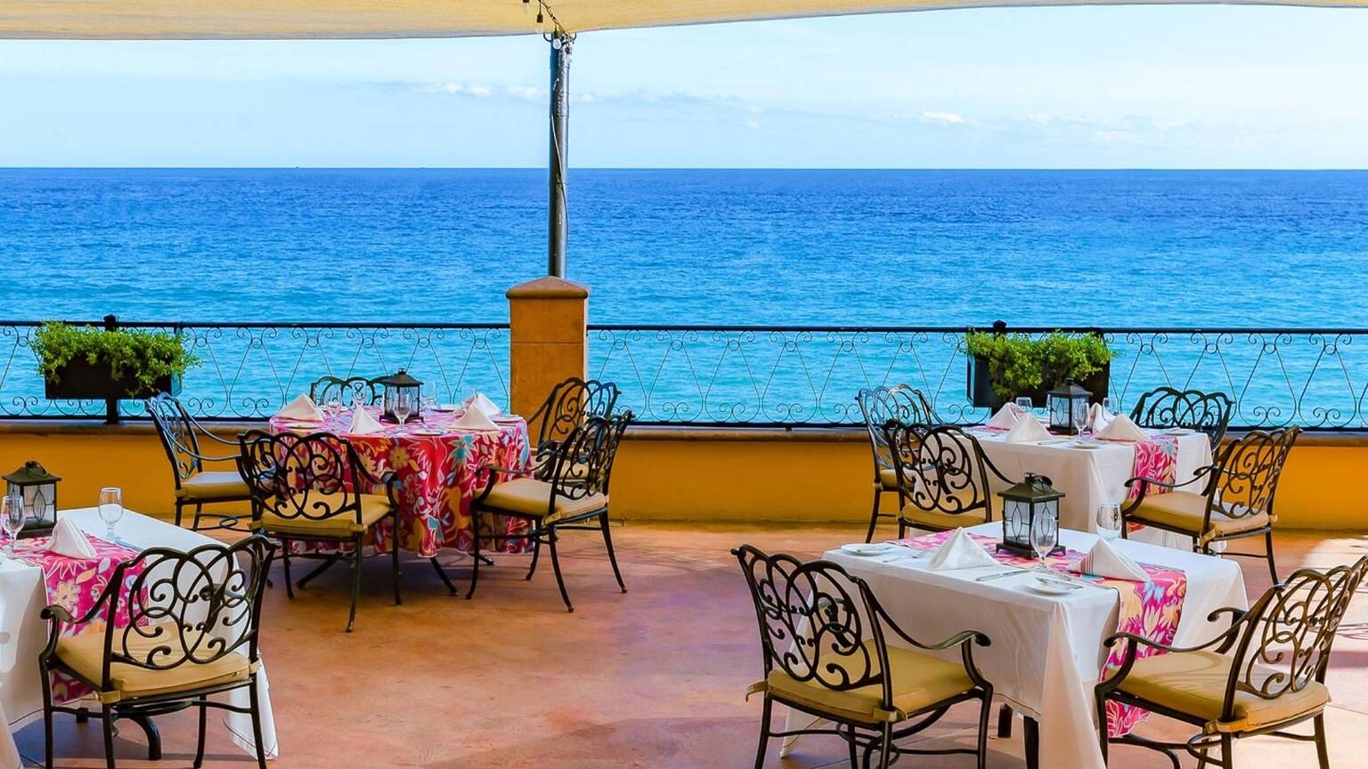 Best options to eat and drink in Los Cabos