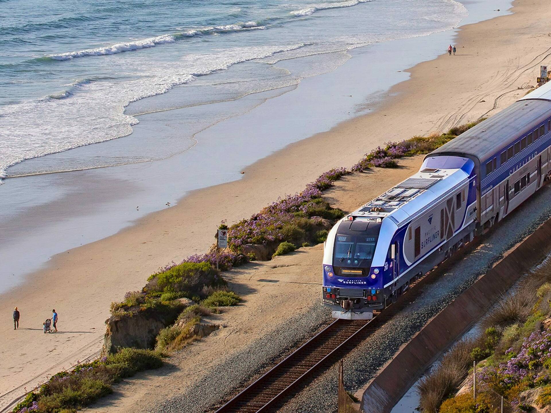 14 Best Scenic Train Rides in the USA for Spectacular Views